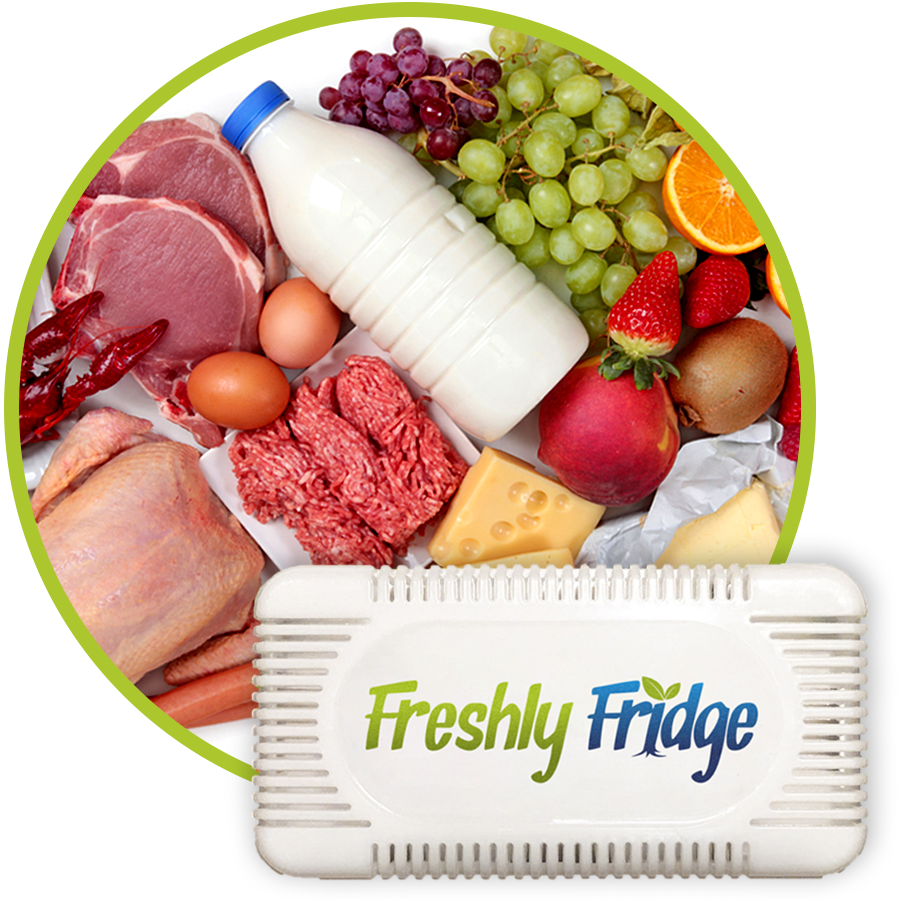 Freshly Fridge - Make Your Food Last 50% Longer